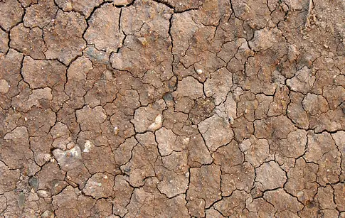 DRY up your Javascript | Drifting Ruby